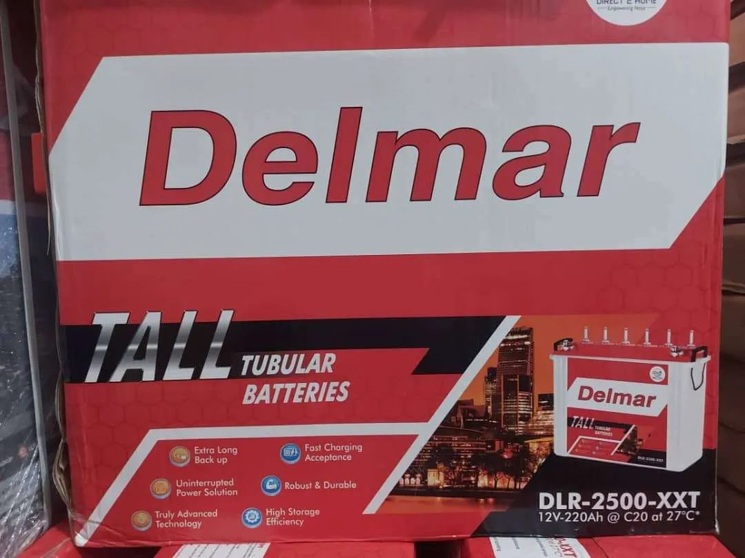 Delmar 12v 220ah Tall Tubular Battery - BuyBae Online Store
